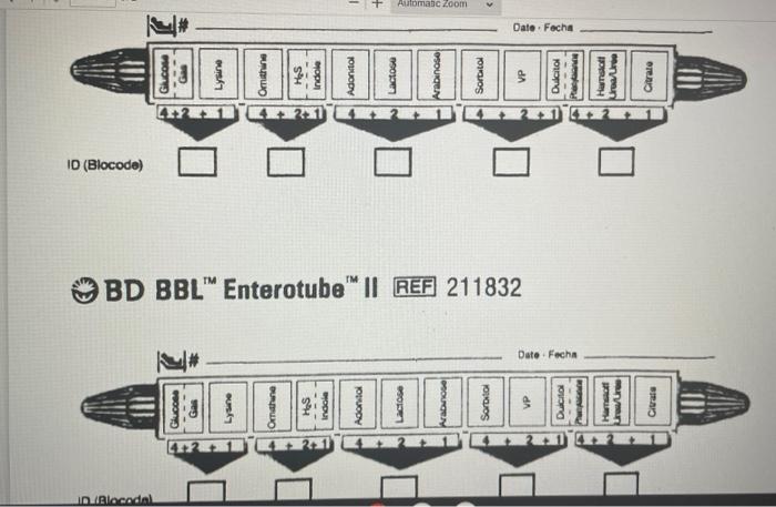 EnteroPluri-Test Lab - Bacteria Identification Team | Chegg.com