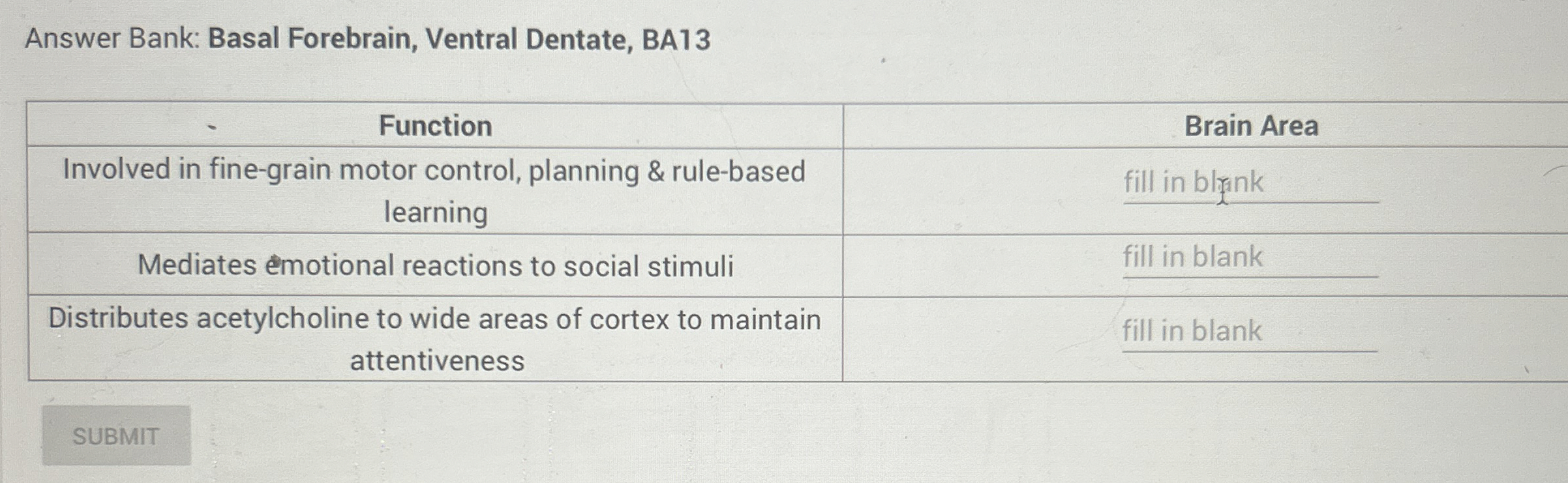 Solved Answer Bank: Basal Forebrain, Ventral Dentate, | Chegg.com