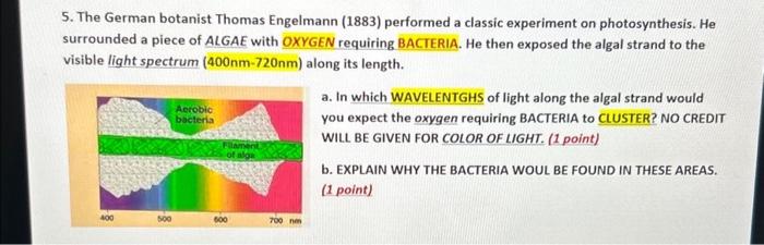 Solved 5. The German botanist Thomas Engelmann (1883) | Chegg.com
