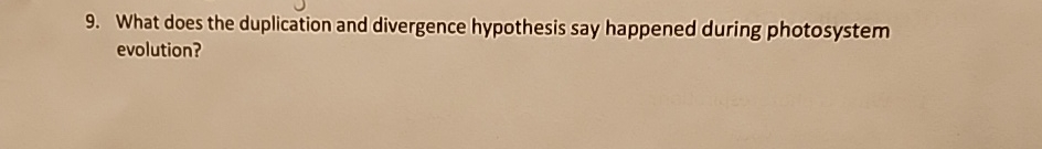 Solved What does the duplication and divergence hypothesis | Chegg.com