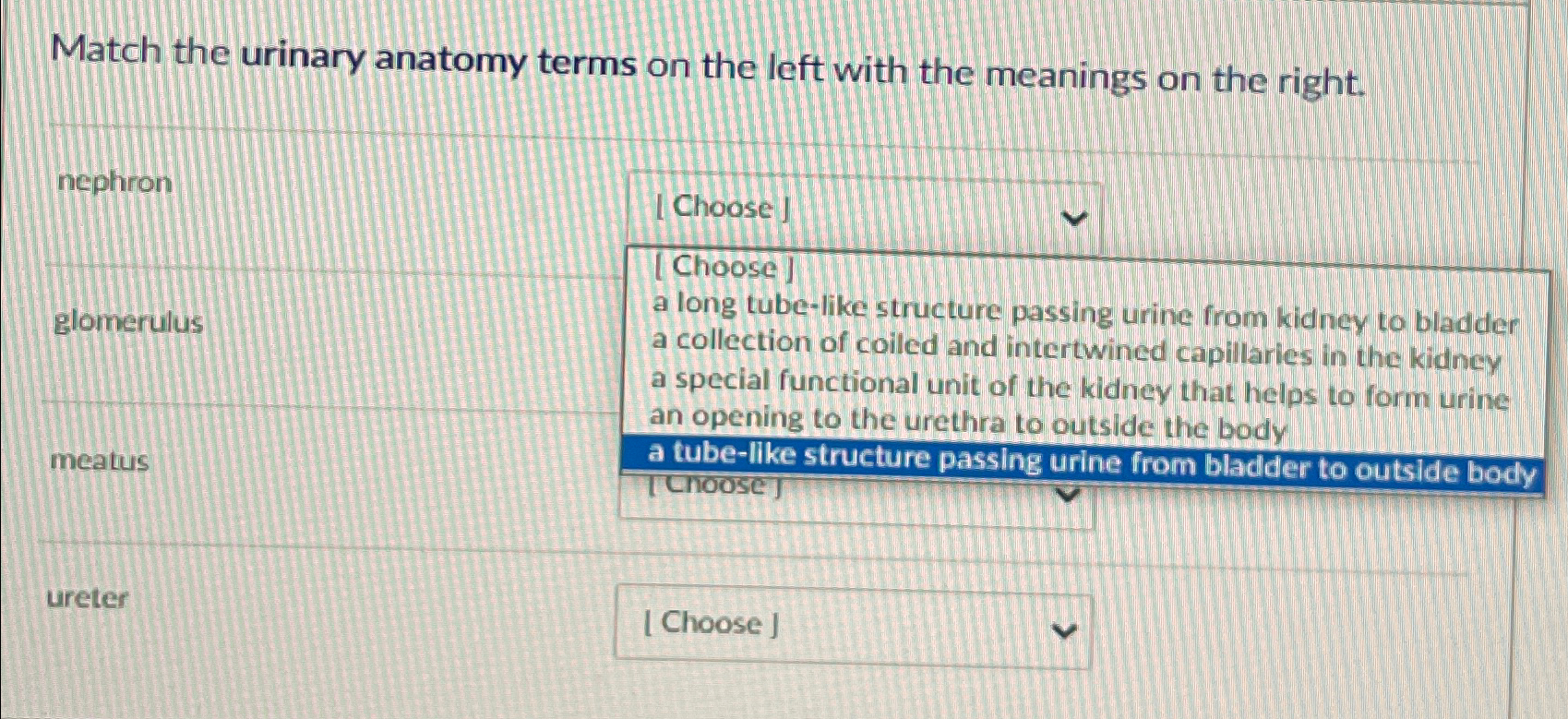 Solved Match the urinary anatomy terms on the left with the | Chegg.com