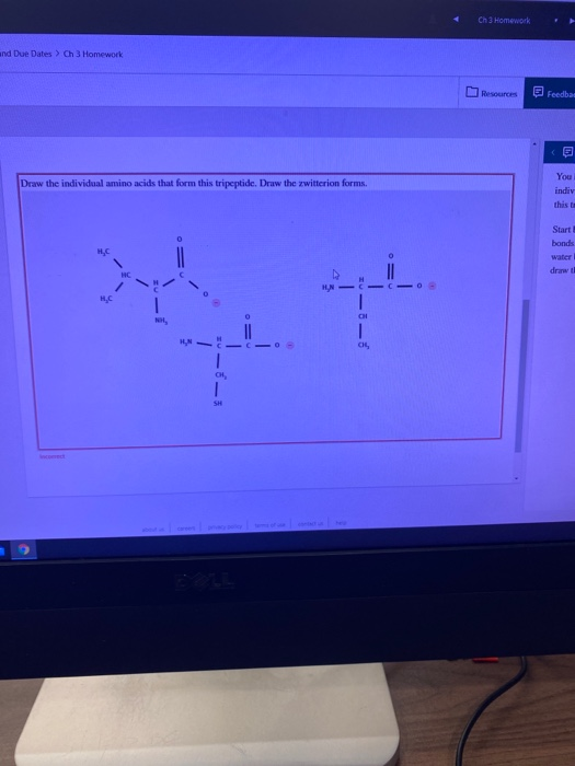 Solved draw the histidine side chain structure for the | Chegg.com