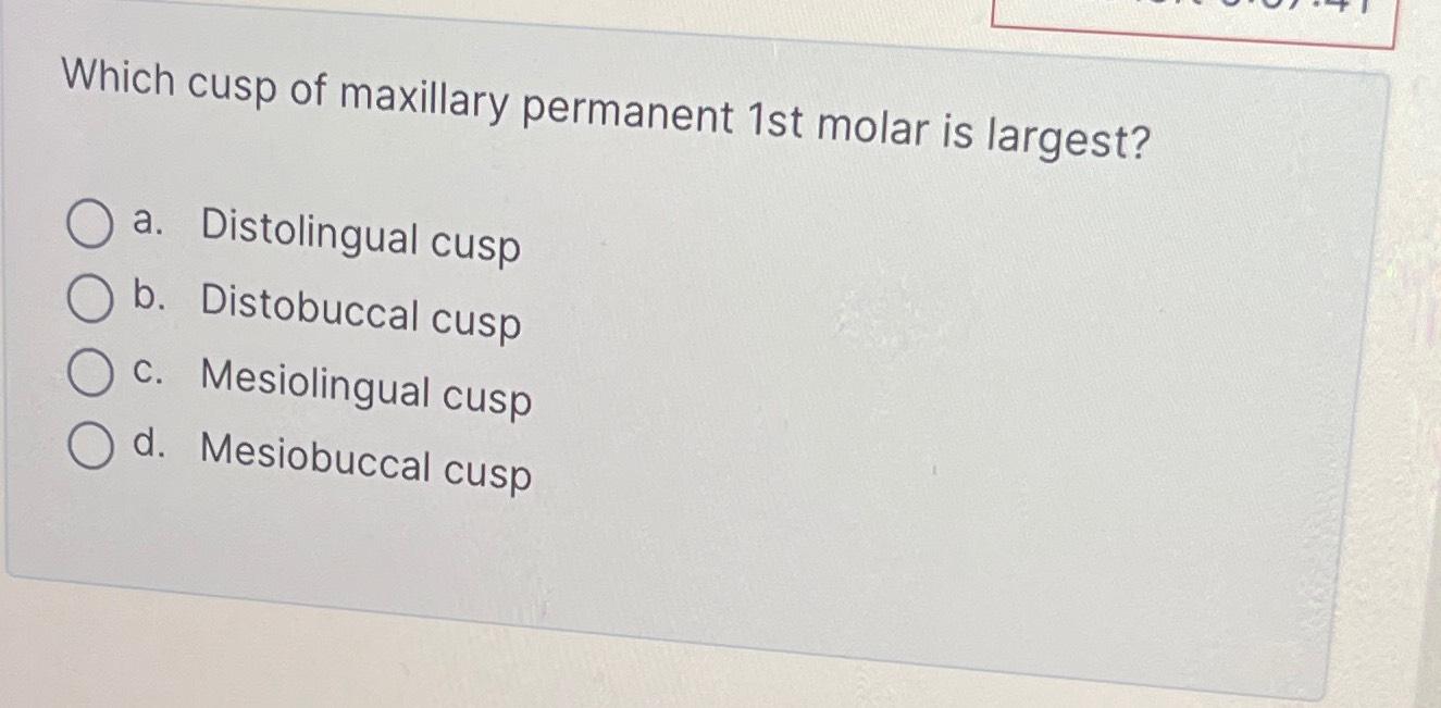 Solved Which cusp of maxillary permanent 1st molar is | Chegg.com