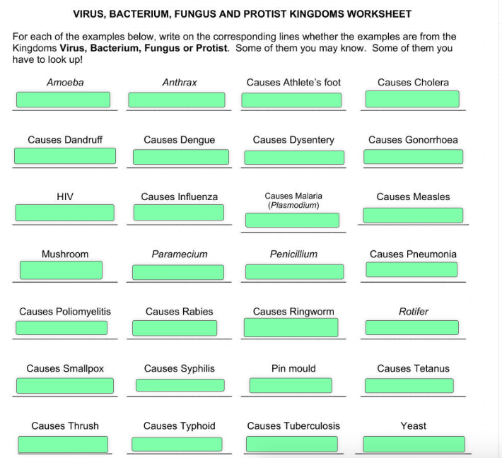 Solved VIRUS, BACTERIUM, FUNGUS AND PROTIST KINGDOMS | Chegg.com