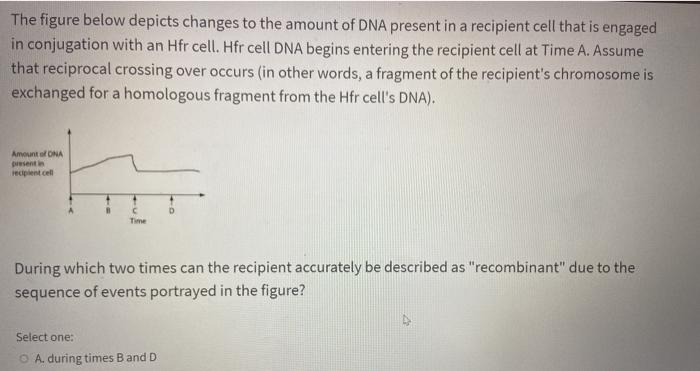 Solved The figure below depicts changes to the amount of DNA | Chegg.com