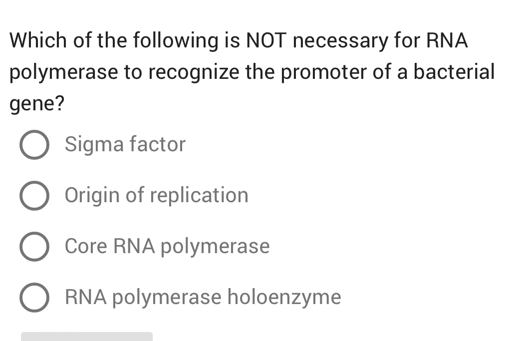 Solved Which of the following is NOT necessary for RNA | Chegg.com