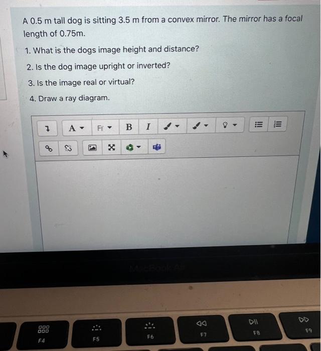 Solved A 0.5 m tall dog is sitting 3.5 m from a convex | Chegg.com