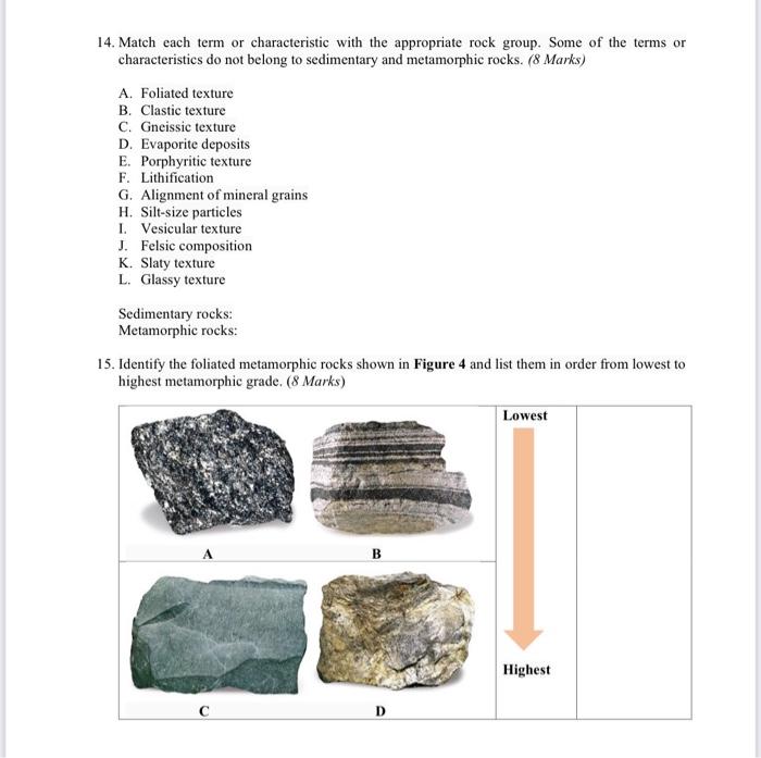 Solved 14. Match each term or characteristic with the | Chegg.com