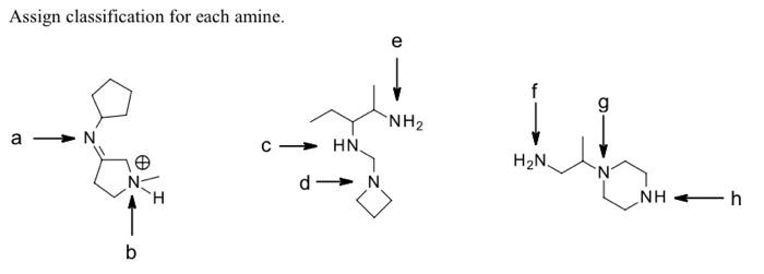 Solved Assign classification for each amine. | Chegg.com