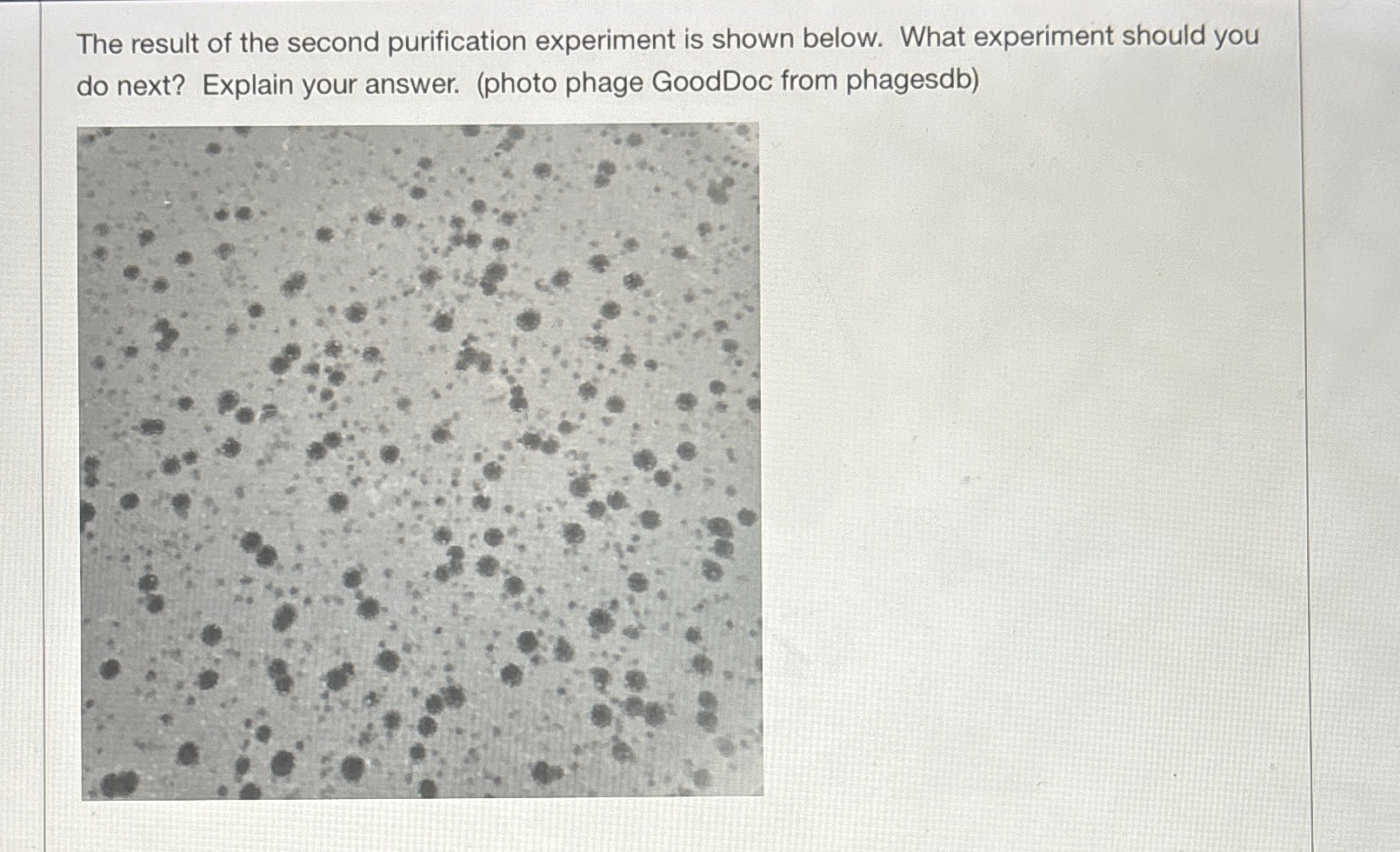Solved The result of the second purification experiment is | Chegg.com