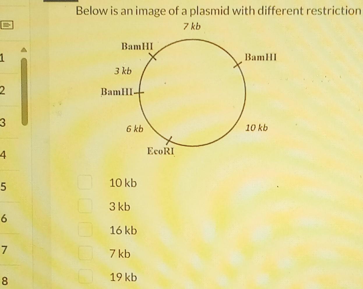 Solved Below is an image of a plasmid with different | Chegg.com