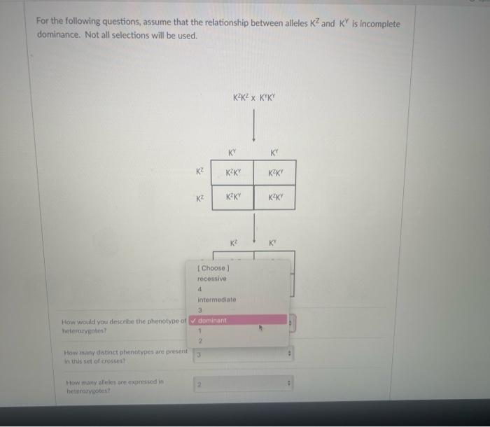 Solved For the following questions, assume that the | Chegg.com