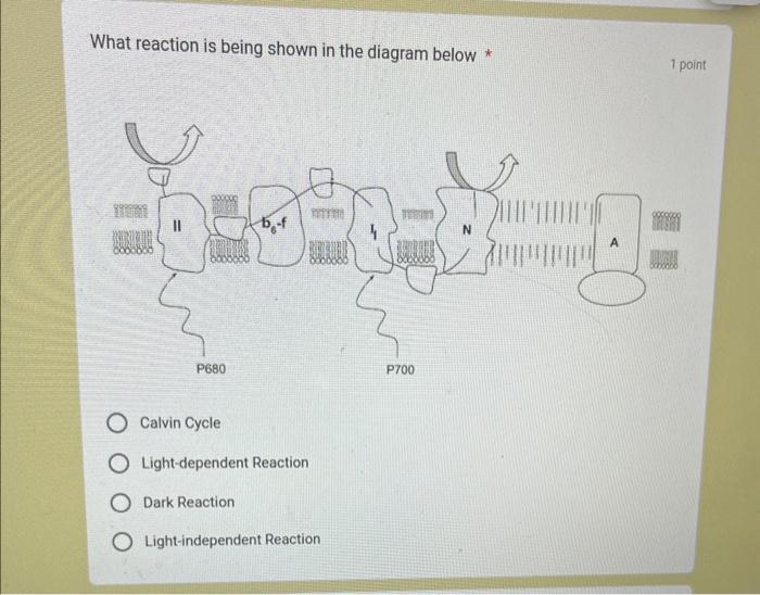 Solved What reaction is being shown in the diagram below * | Chegg.com