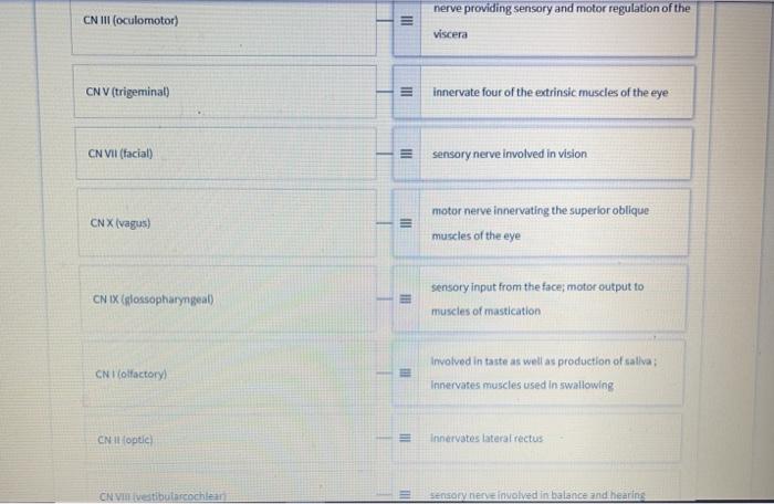 Solved Match the cranial nerve with the correct function: | Chegg.com