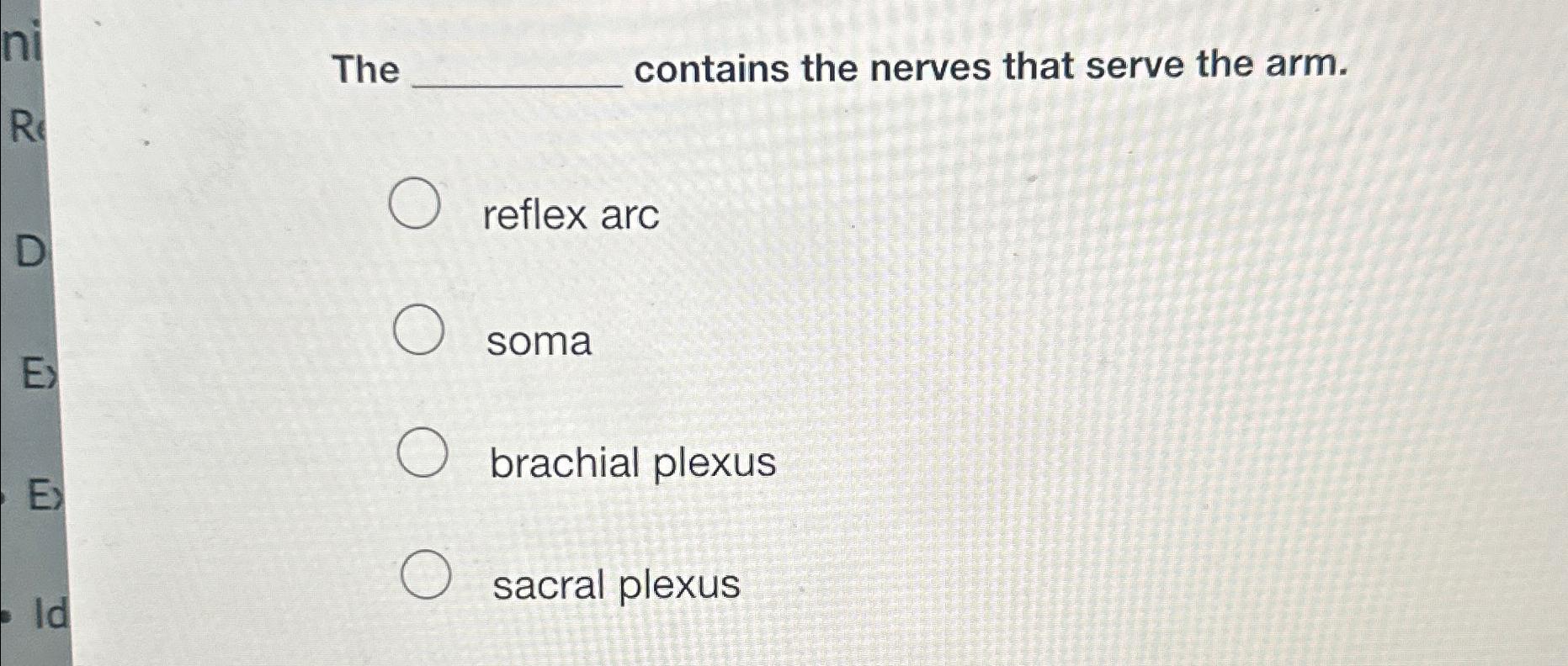 Solved The contains the nerves that serve the arm.reflex | Chegg.com