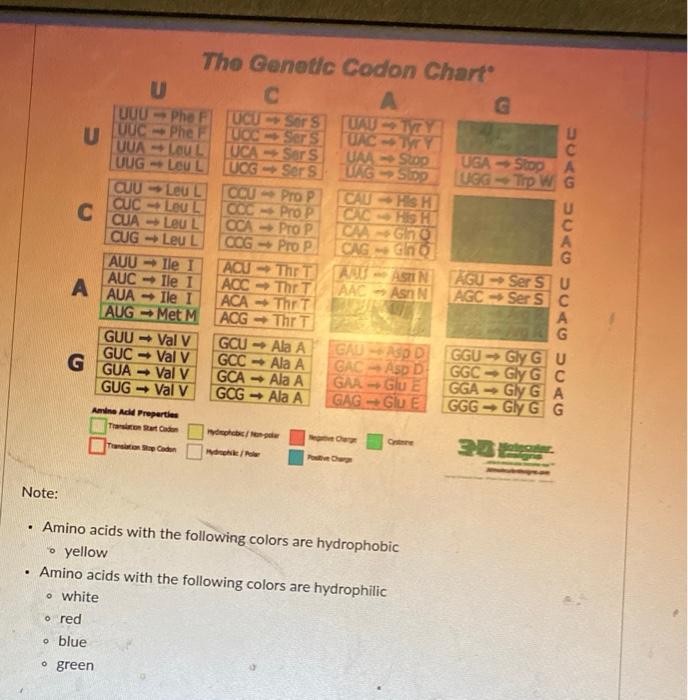 Solved The Genetic Codon Chart U С A G UUU P1 | 0 || TS 9. U | Chegg.com