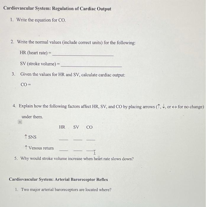 Solved Cardiovascular System: Regulation of Cardiac Output | Chegg.com