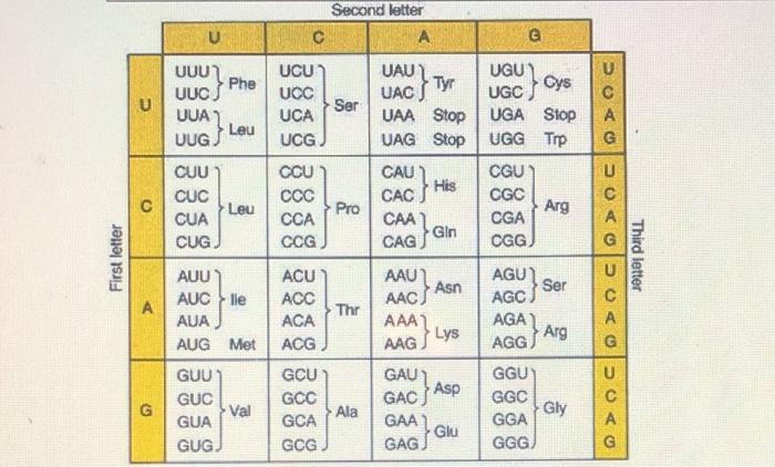 Solved Genetic Code Activity Step 1. Fill in the | Chegg.com