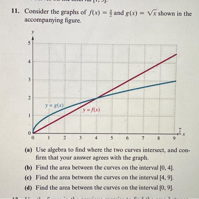 Solved 11. Consider the graphs of f(x)=2x and g(x)=x shown | Chegg.com