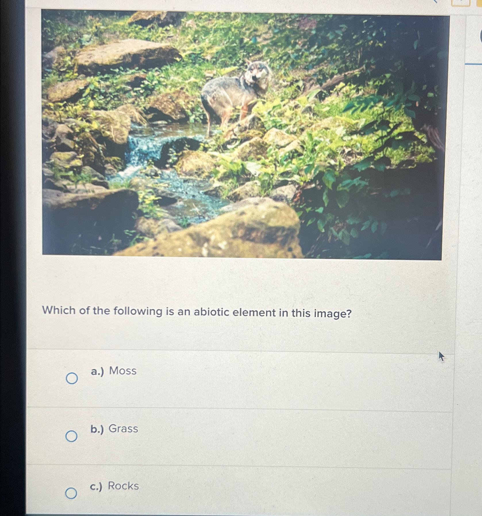 Solved Which of the following is an abiotic element in this | Chegg.com
