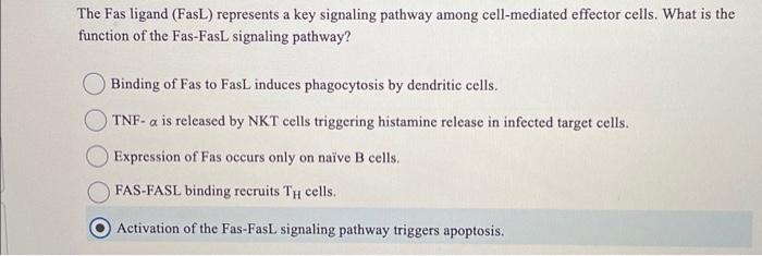 Solved The Fas ligand (FasL) represents a key signaling | Chegg.com