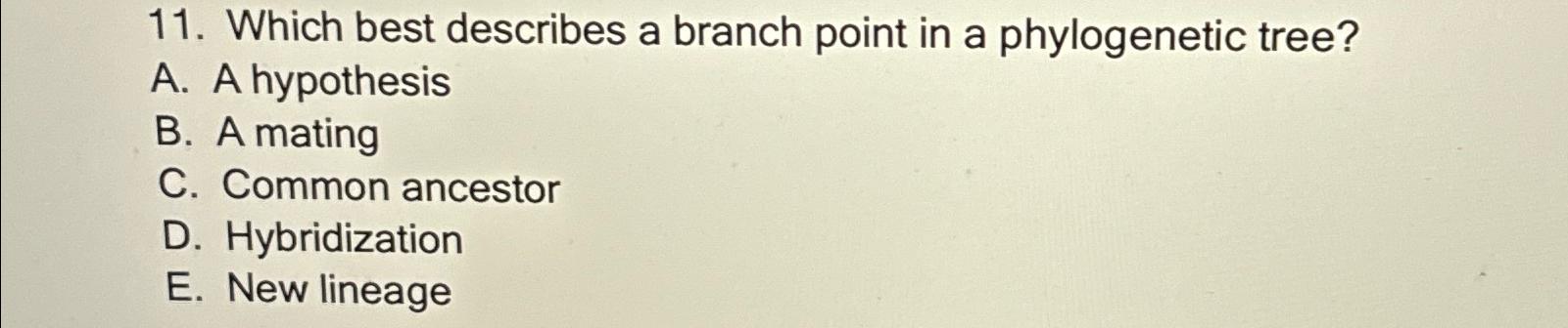 Solved Which best describes a branch point in a phylogenetic | Chegg.com