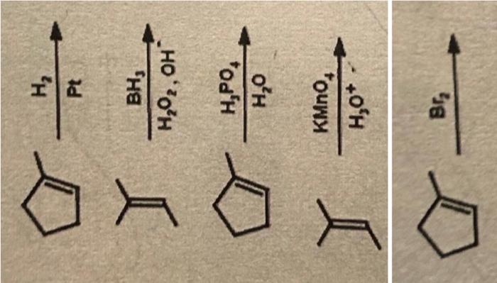 Solved PtH2 H2O2,OH−BH3 ∫H3O+KMnO4 | Chegg.com