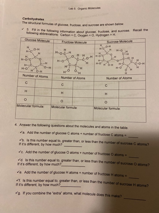 Solved Lab 5. Organic Molecules Carbohydrates mulas of | Chegg.com