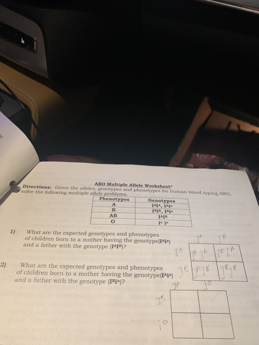 Solved ABO Multiple Allele Worksheet Directions: Given the | Chegg.com