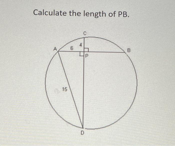 Solved Calculate the length of PB. 15 6 4 C D P B | Chegg.com
