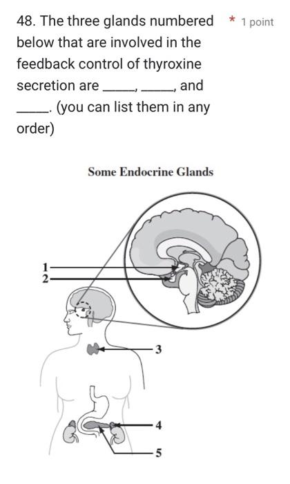 Solved 48. The three glands numbered 1 point below that are | Chegg.com