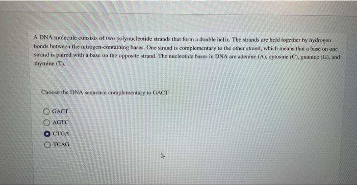 Solved A DNA molecule consists of two polynucleotide strands | Chegg.com