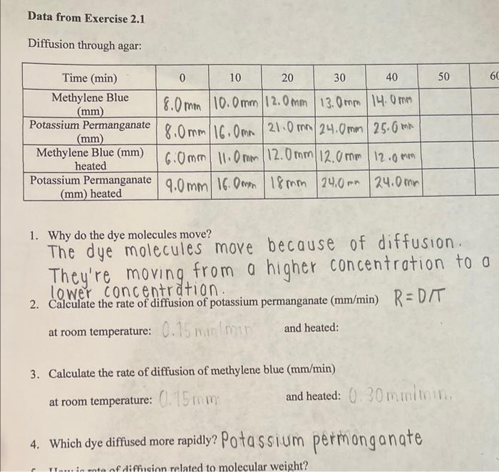 Solved 2. Calculate the rate of diffusion of potassium | Chegg.com