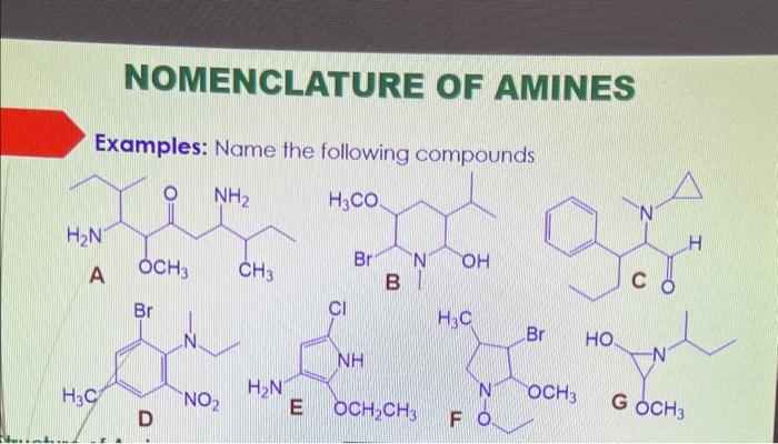 Solved NOMENCLATURE OF AMINES Examples: Name the following | Chegg.com