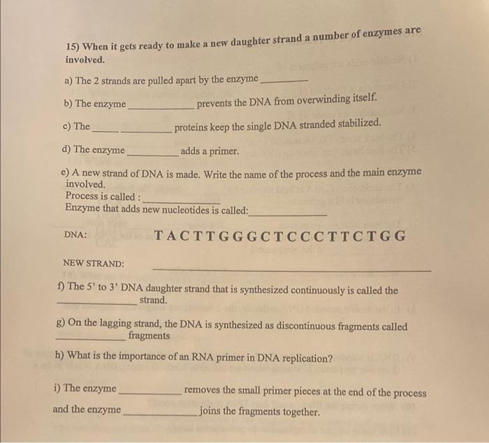Solved 15) When it gets ready to make a new daughter strand | Chegg.com