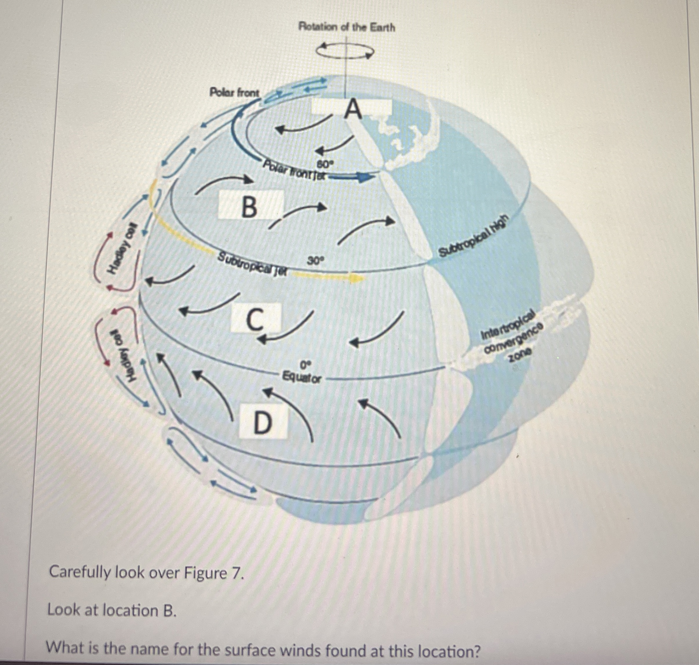 Solved Rotation of the EarthCarefully look over Figure | Chegg.com