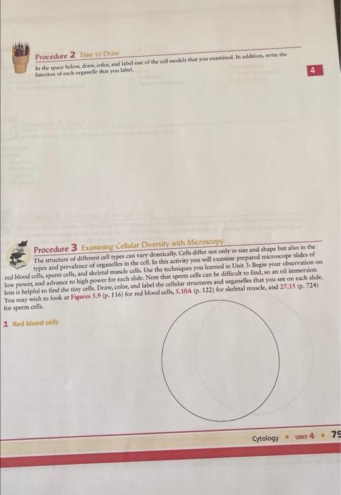 Solved Procedure 2 Time to Draw In the space below, draw, | Chegg.com