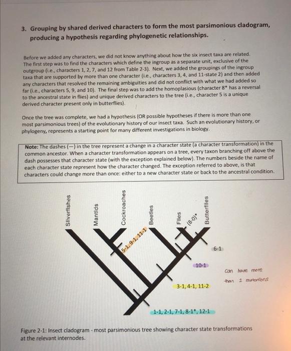 Solved Please hand draw a cladogram as the form of the | Chegg.com