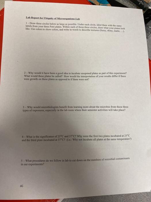 Solved Lab Report for Ubiquity of Microorganisms Lab 1-Draw | Chegg.com