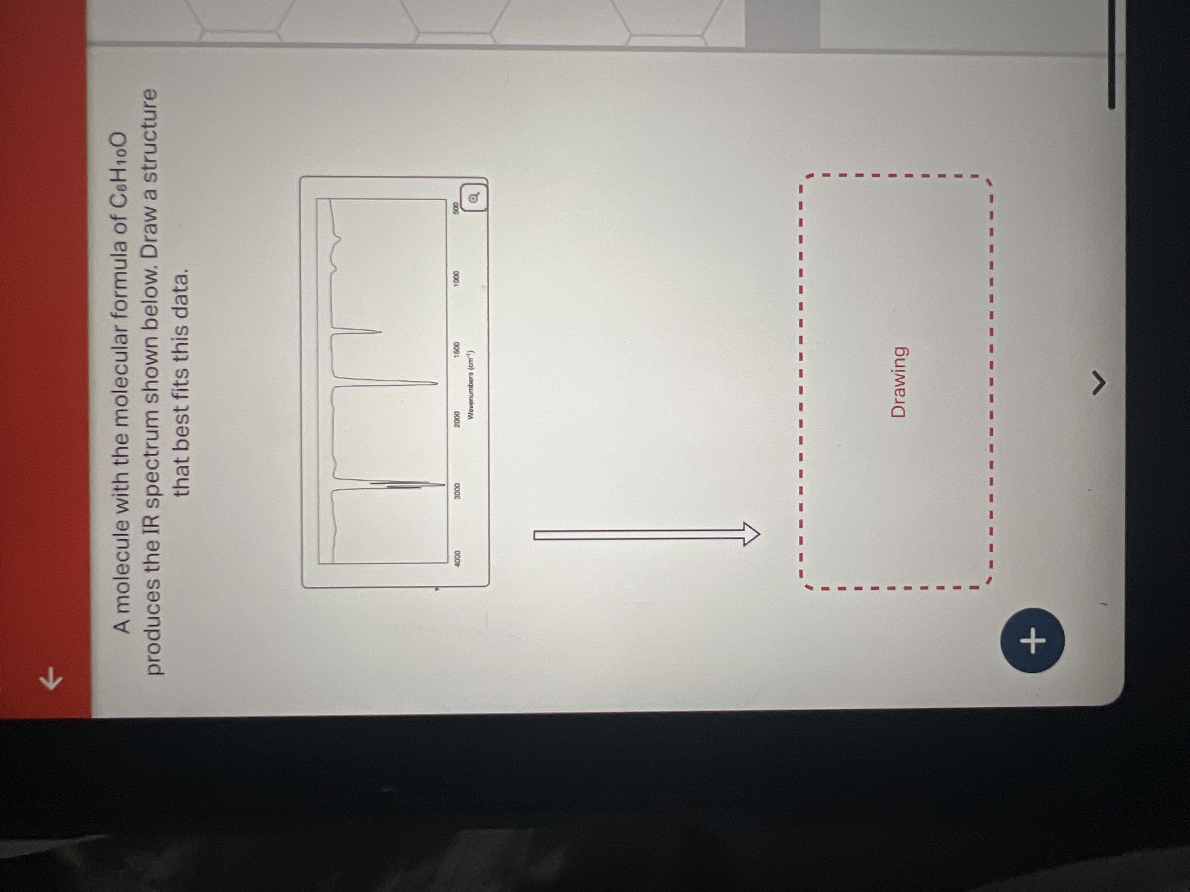 Solved A molecule with the molecular formula | Chegg.com