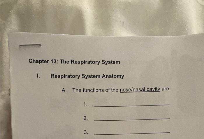Solved Chapter 13: The Respiratory System Respiratory System | Chegg.com