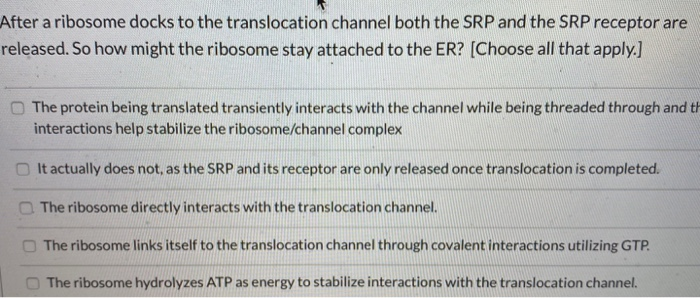 Solved After a ribosome docks to the translocation channel | Chegg.com