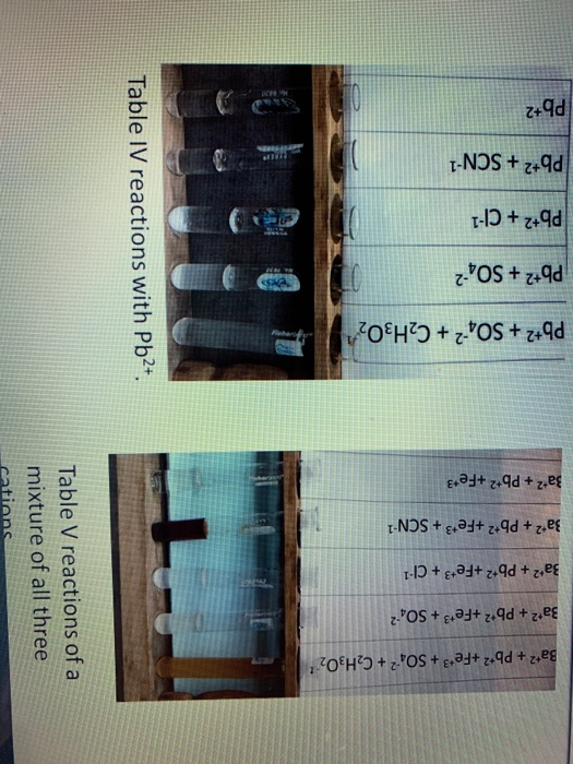 Solved Ba®2 + 50, 2 + C2H30,1 Ba*2 + SO42 Table III | Chegg.com