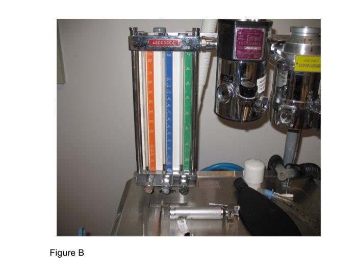 Solved 13. Where would the oxygen meter on the machine | Chegg.com