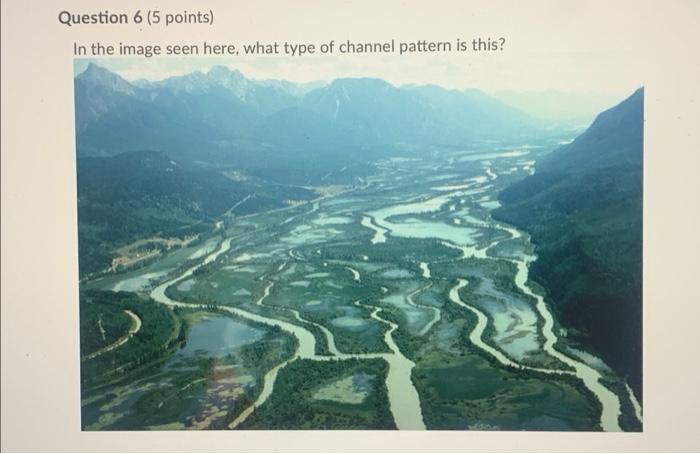 Solved Question 6 (5 points) In the image seen here, what | Chegg.com