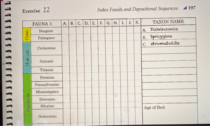 Exercise 12 Index Fossils and Depositional Sequences | Chegg.com