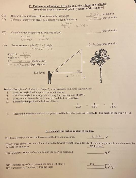 Solved C. Estimate wood volume of tree trunk as the volume | Chegg.com