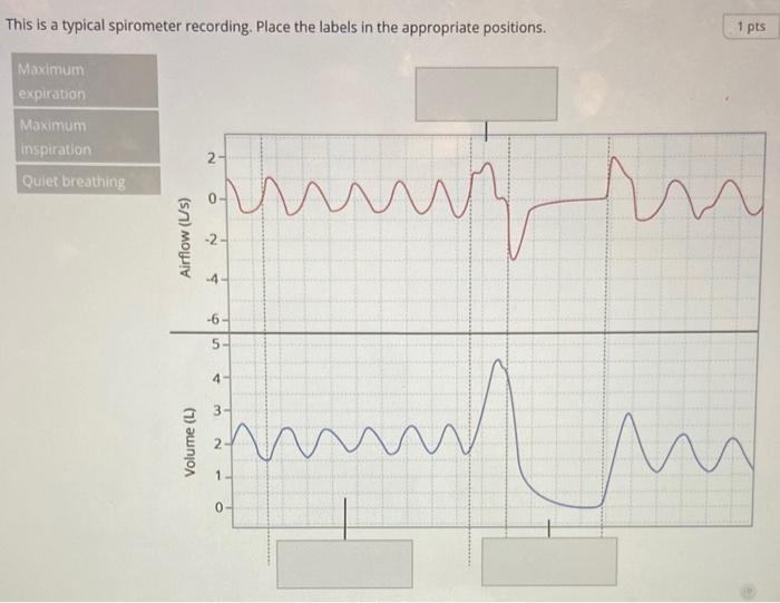 This is a typical spirometer recording. Place the | Chegg.com