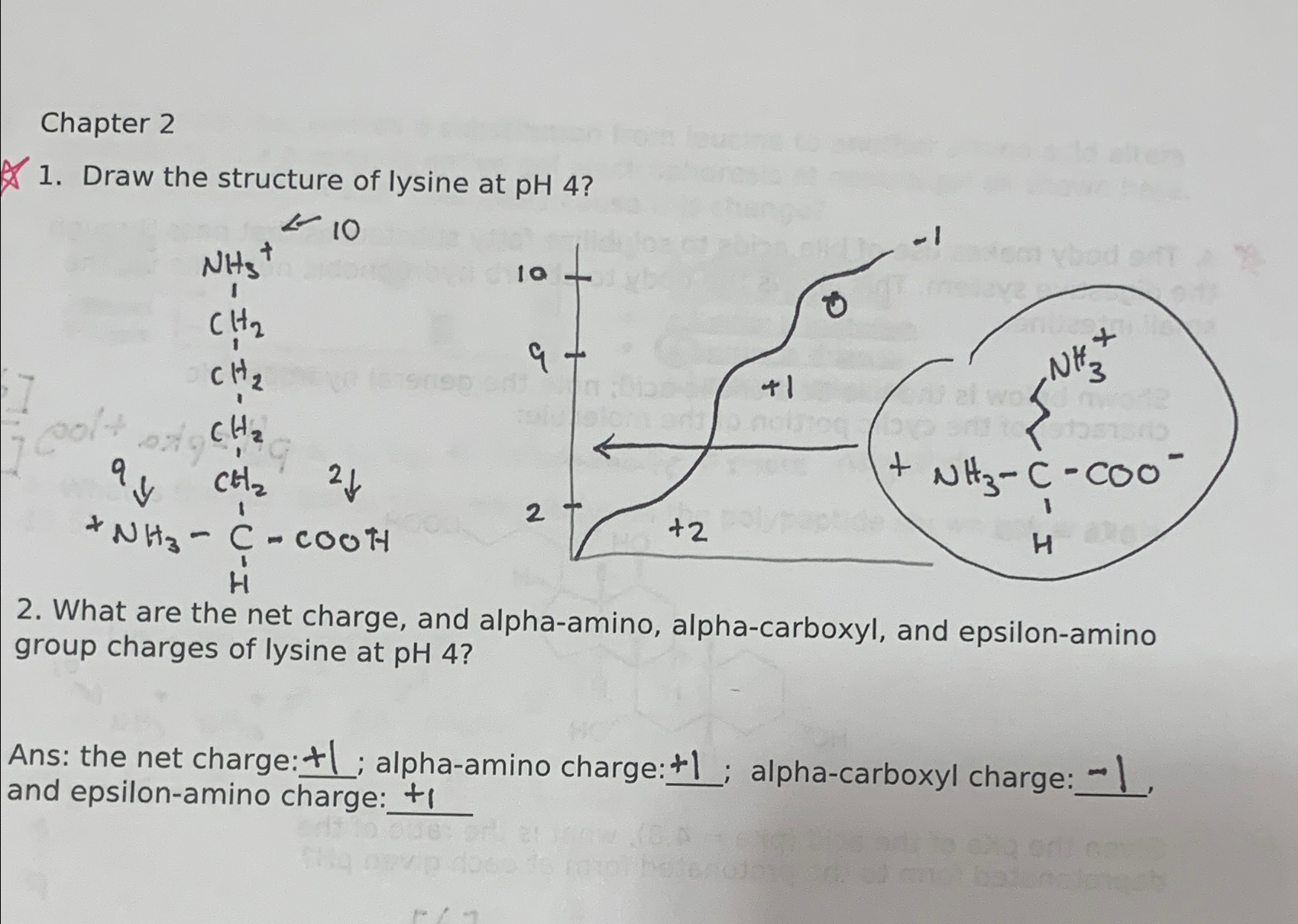 Solved Chapter 2Draw the structure of lysine at pH4 ?The | Chegg.com