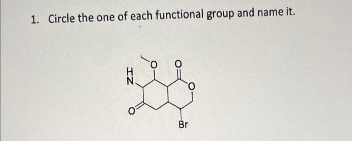 Solved 1. Circle the one of each functional group and name | Chegg.com